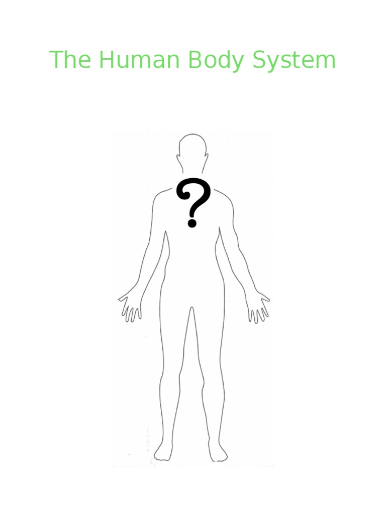 the human body system science | Respiratory Tract | Artery