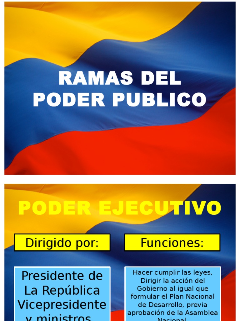 Ramas Del Poder Publico