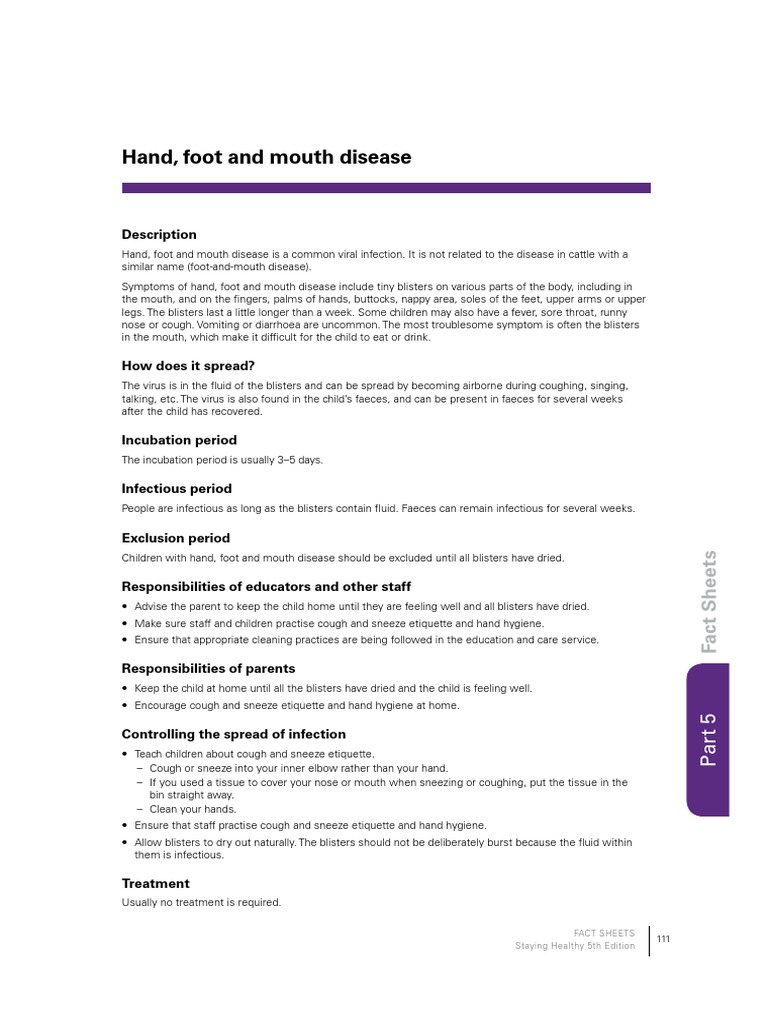 Hand Foot and Mouth Disease Fact Sheet | PDF