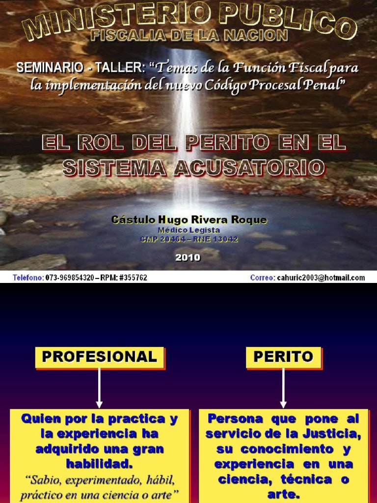 139 Rol Del Perito en El Sistema Acusatorio Castulo Rivera | PDF