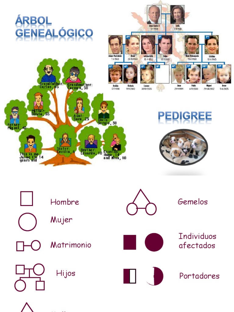 Creación de un Árbol Genealógico Genético | PDF | Ciencias sociales ...