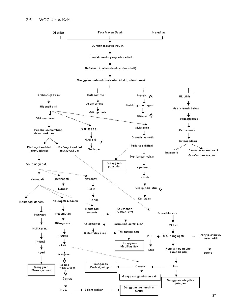 Patofisiologi Ulkus Diabetikum dan Komplikasi | PDF