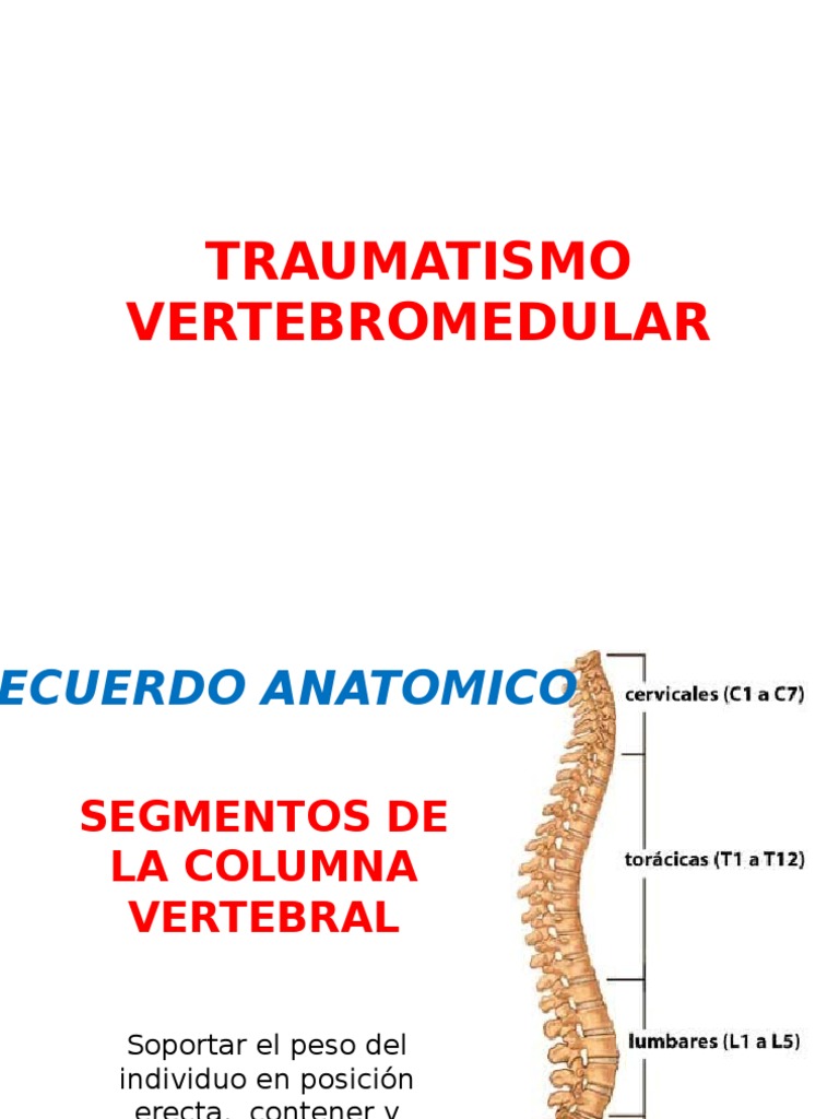 Traumatismo Vertebro Medular | PDF | Médula espinal | Sistema musculoesquelético