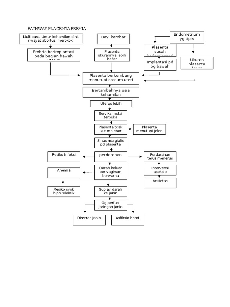 Pathway Placenta Previa
