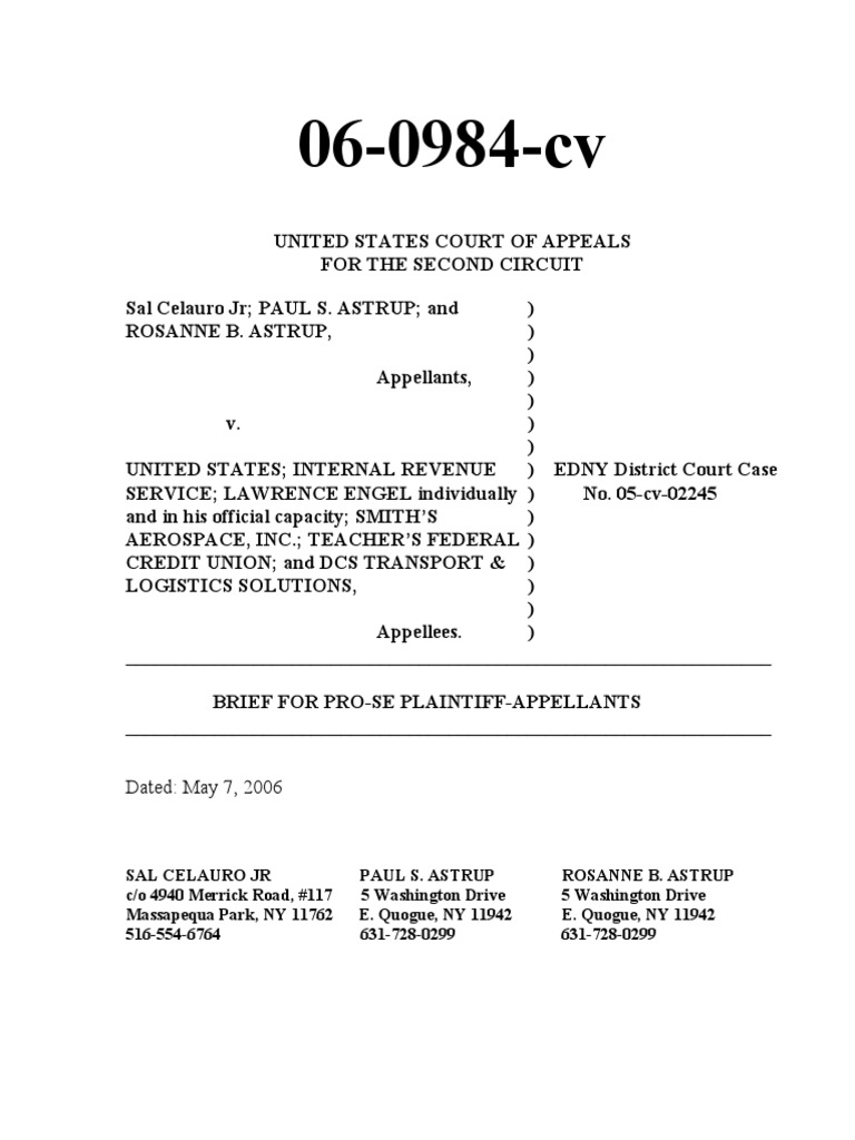 Appellant Brief Perfect Format PDF | PDF | First Amendment To The ...