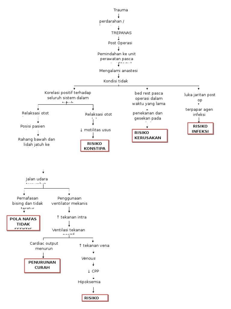 Pathway TRAUMA KEPALA | PDF