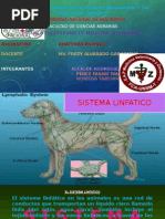 El Timo Animal | PDF
