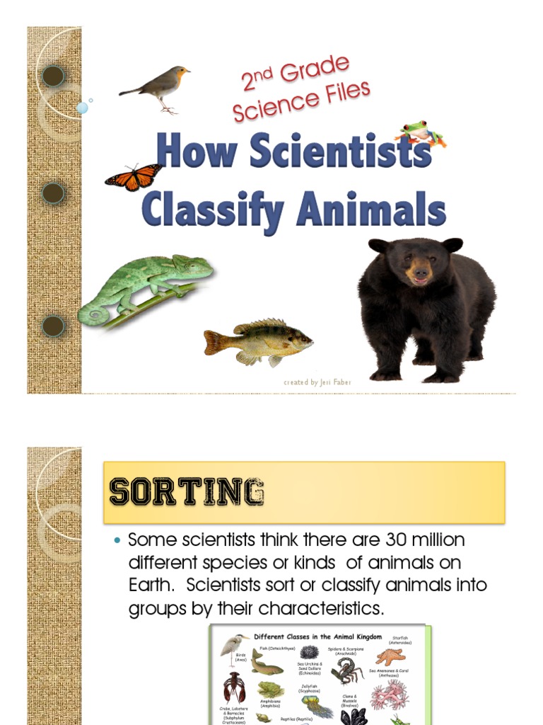 biodiversity how scientists classify animals.pdf | Invertebrate | Amphibian