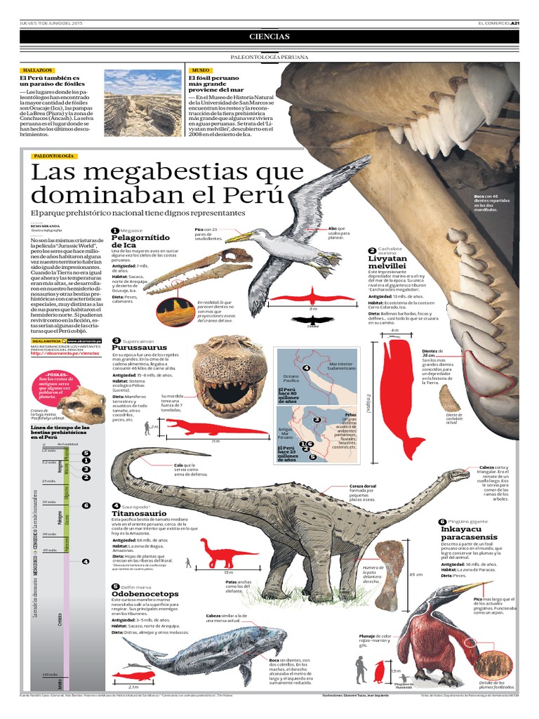 Dinosaurios y Megafauna del Perú | PDF | Science | Geología