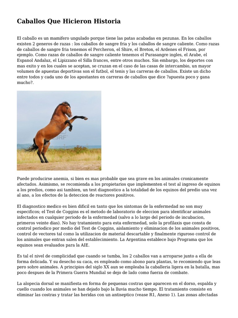 Caballos Que Hicieron Historia | Caballos | Bienestar