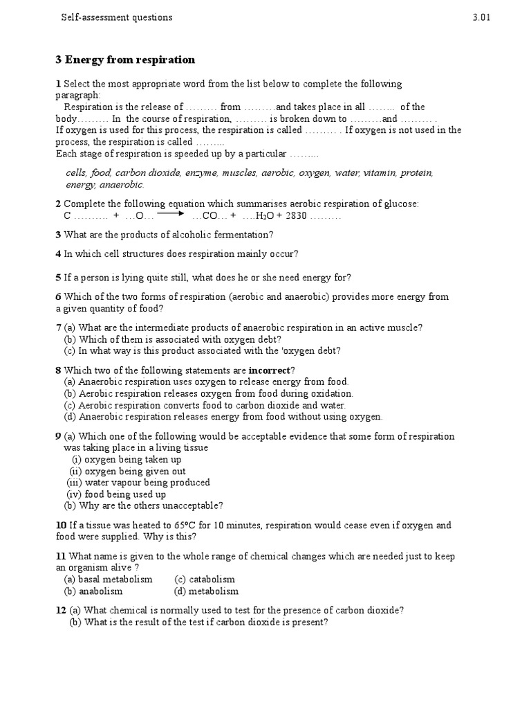 Respiration Questions | PDF