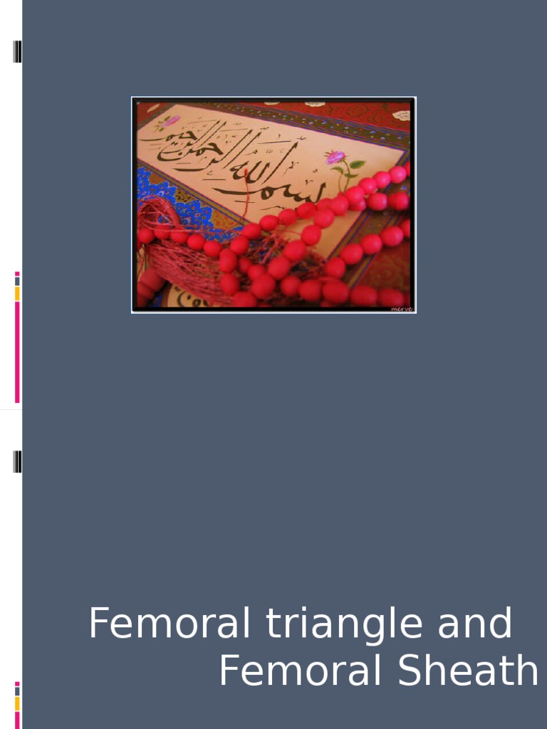 Femoral Sheath and Femoral Triangle | PDF | Lower Limb Anatomy | Limbs ...