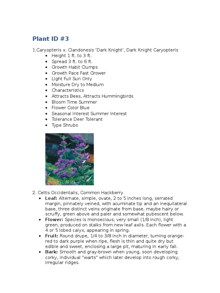 Plant Id 3 | PDF