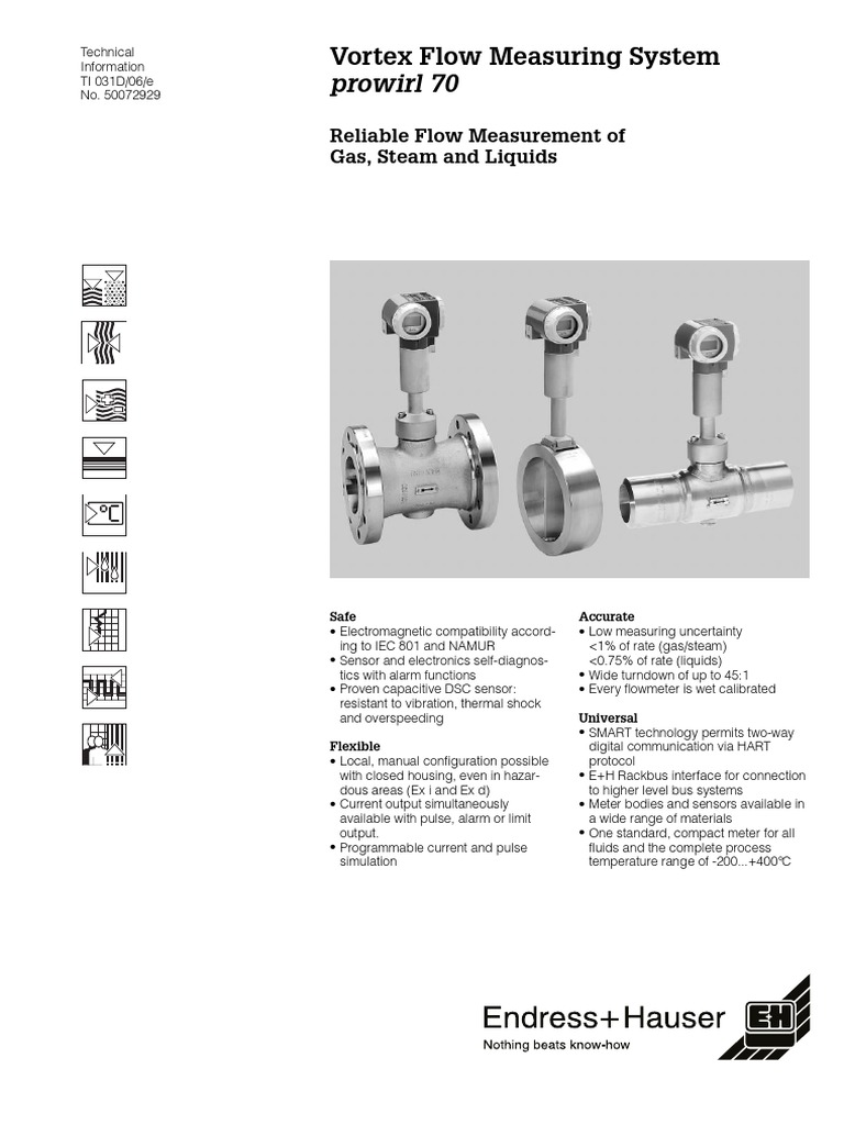 Endress Hauser | PDF | Flow Measurement | Density
