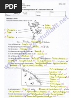 Cours 2-La Paroi Pectocellulosique PDF | PDF | Paroi cellulaire | Lignine