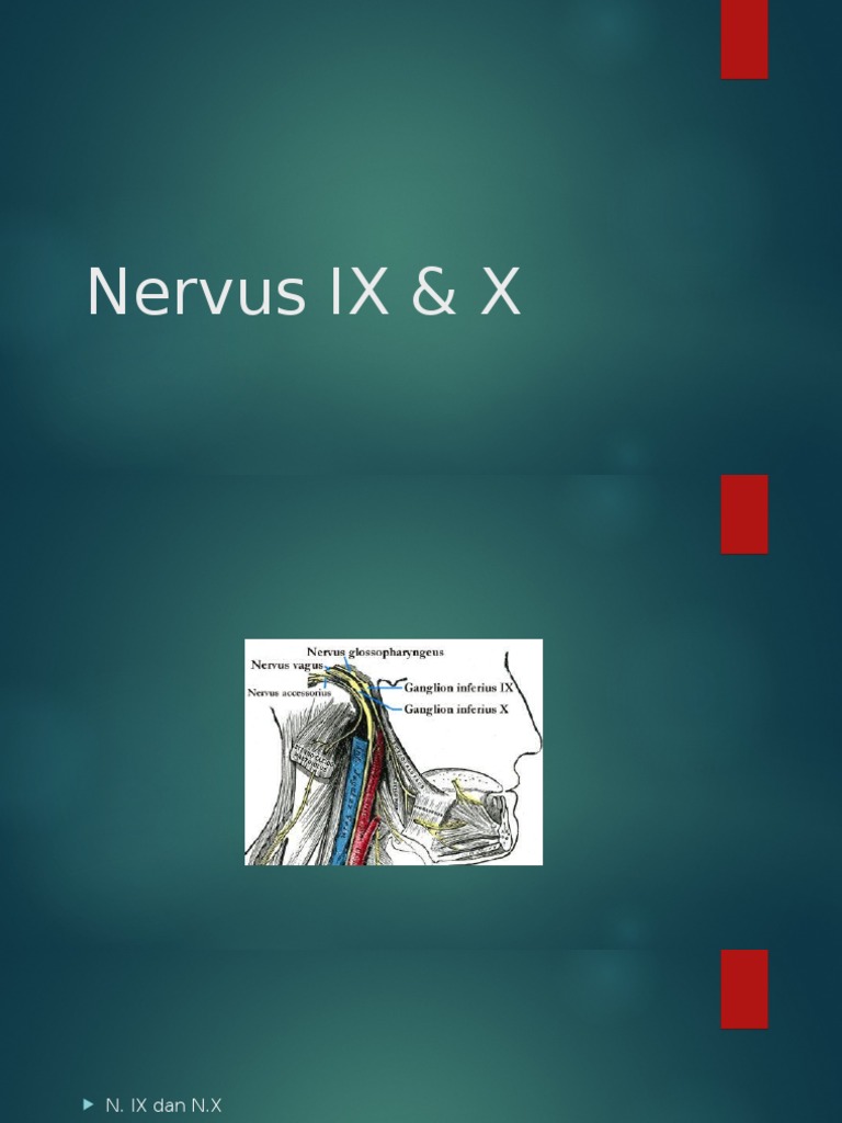 Fungsi dan Gangguan Nervus IX & X | PDF