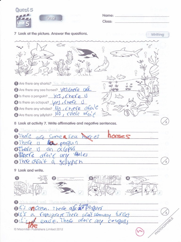 Aquarium Activity and Writing Guide | PDF | Foreign Language Studies