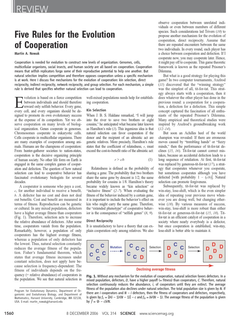 Five Rules | PDF