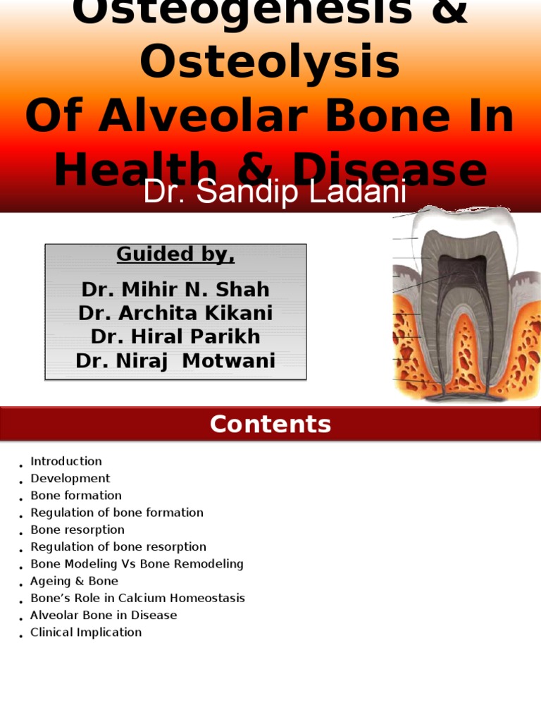 Osteogenesis & Osteolysis of Alveolar Bone in Health & Disease 18-11-09 ...