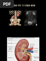 Protocolo UROTAC | PDF