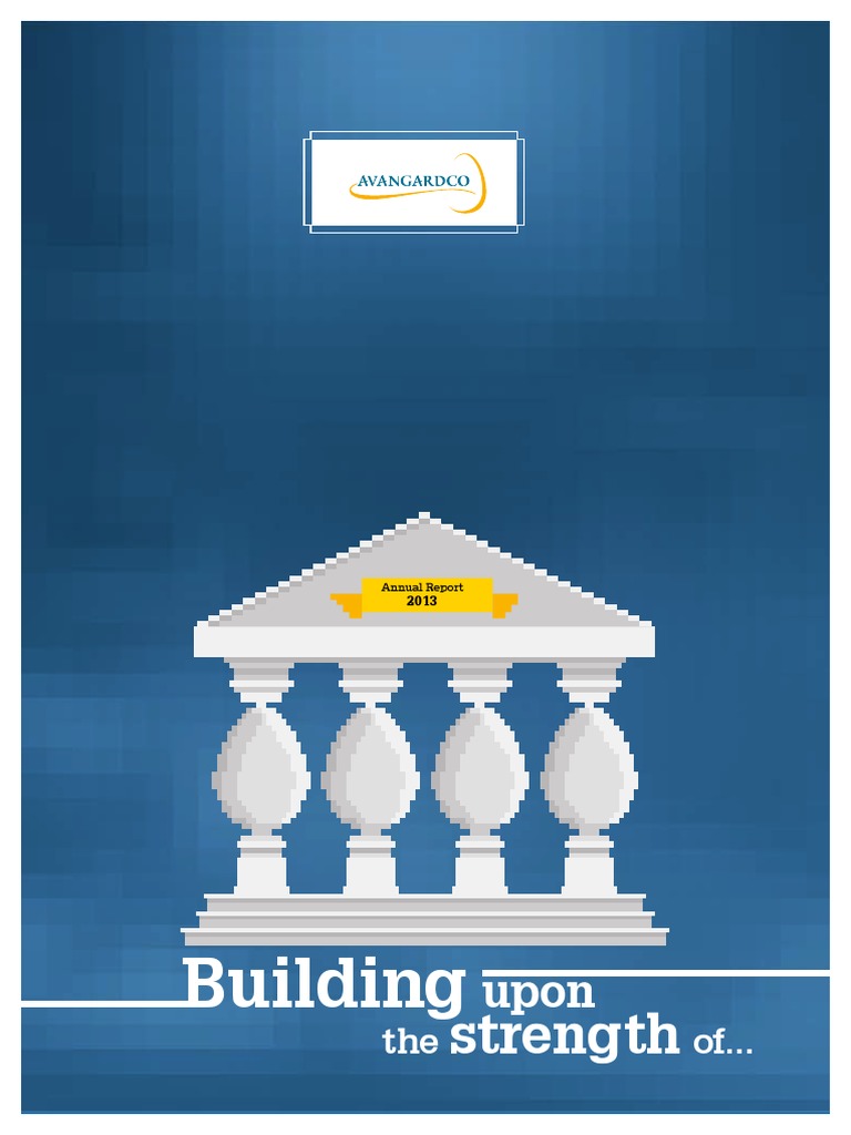 Avangardco Ipl Annual Report 2013 | PDF | Exports | Strategic Management