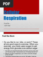 Anaerobic Respiration | PDF