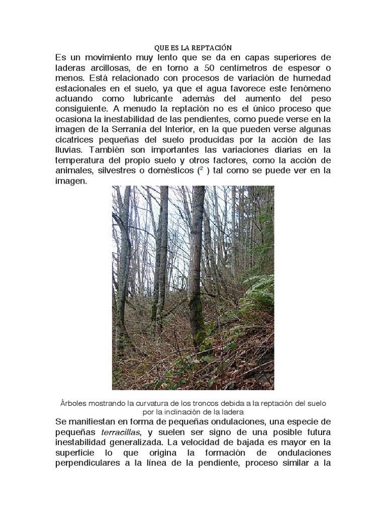 Que Es La Reptación | PDF | Ciencia del suelo | Materiales naturales