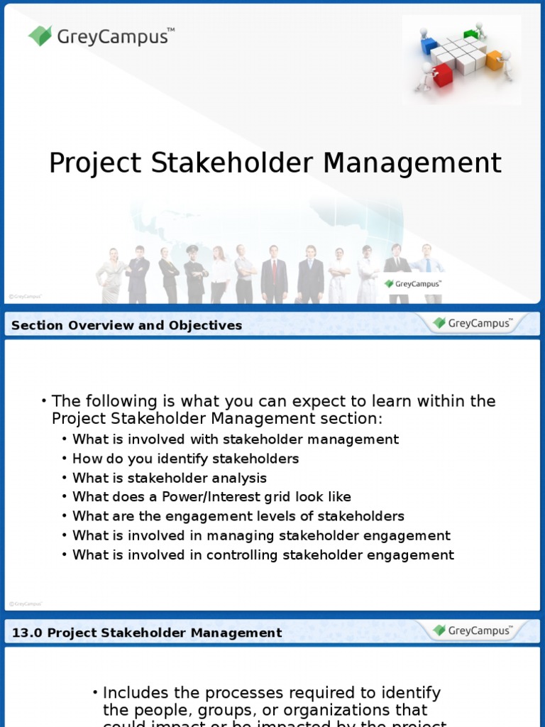 Project Stakeholder Management | PDF | Risk | Procurement