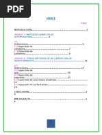 RGA, RS y Diferencia | PDF | Gases | Solubilidad
