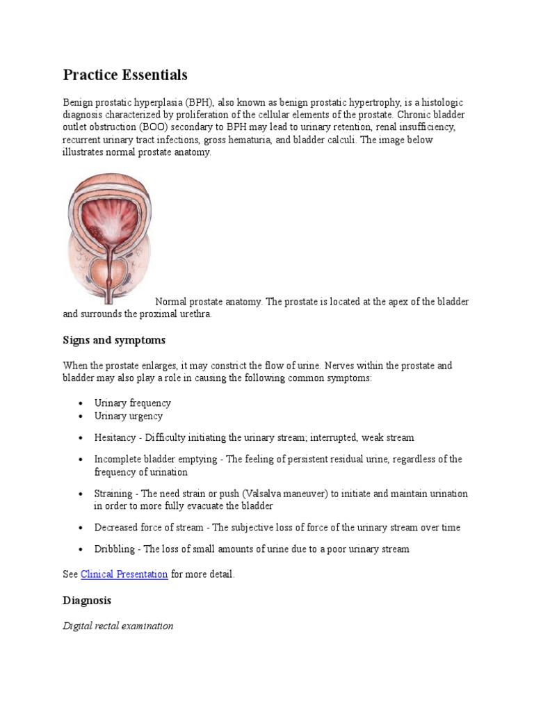 Practice Essentials: Signs and Symptoms | PDF | Prostate Cancer | Prostate