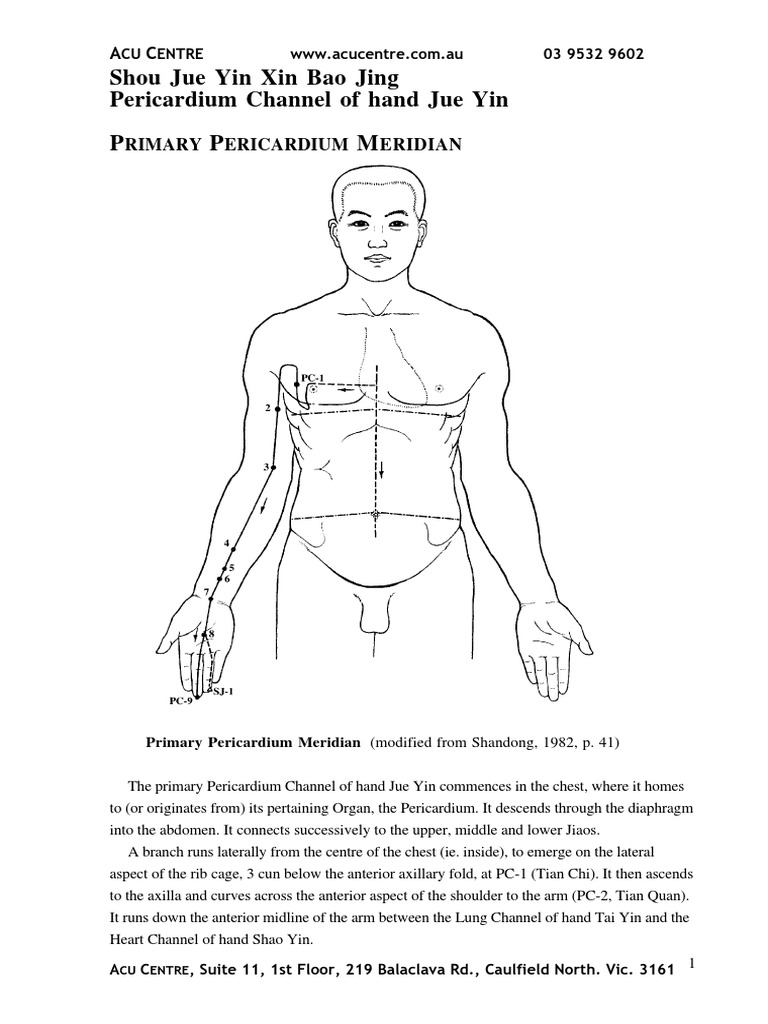 Pericardium Meridian | Arm | Thorax
