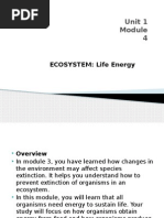 Grade 11 Photosynthesis Overview | PDF | Photosynthesis | Adenosine ...