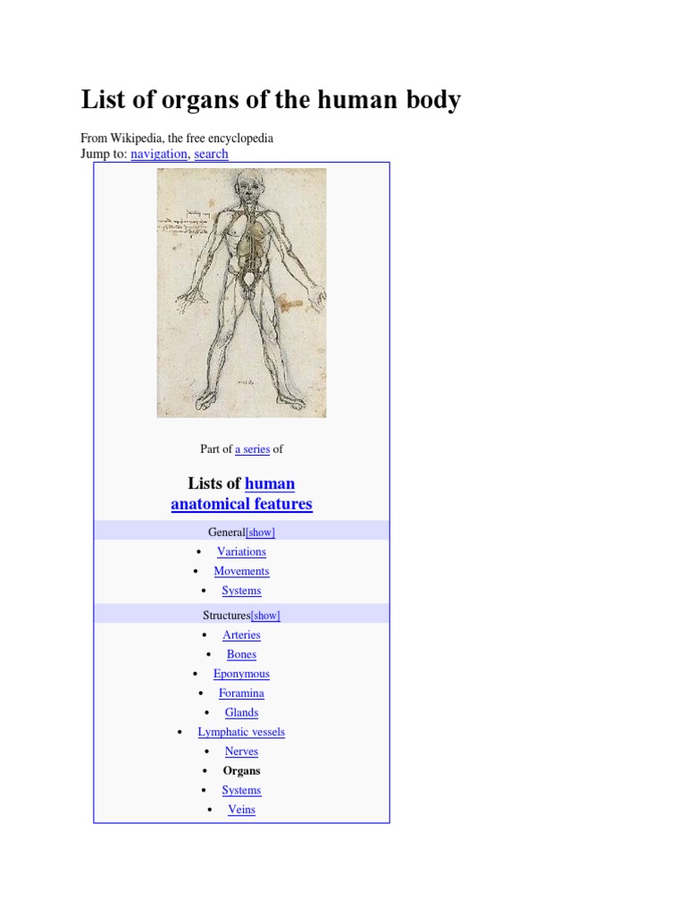 List of Organs of The Human Body | PDF | Human Body | Lymphatic System