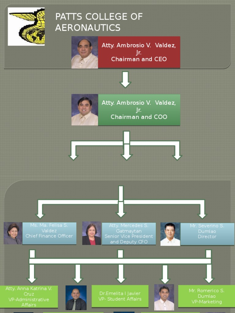 PATTS Organizational Chart | PDF | Positions Of Authority | Leadership