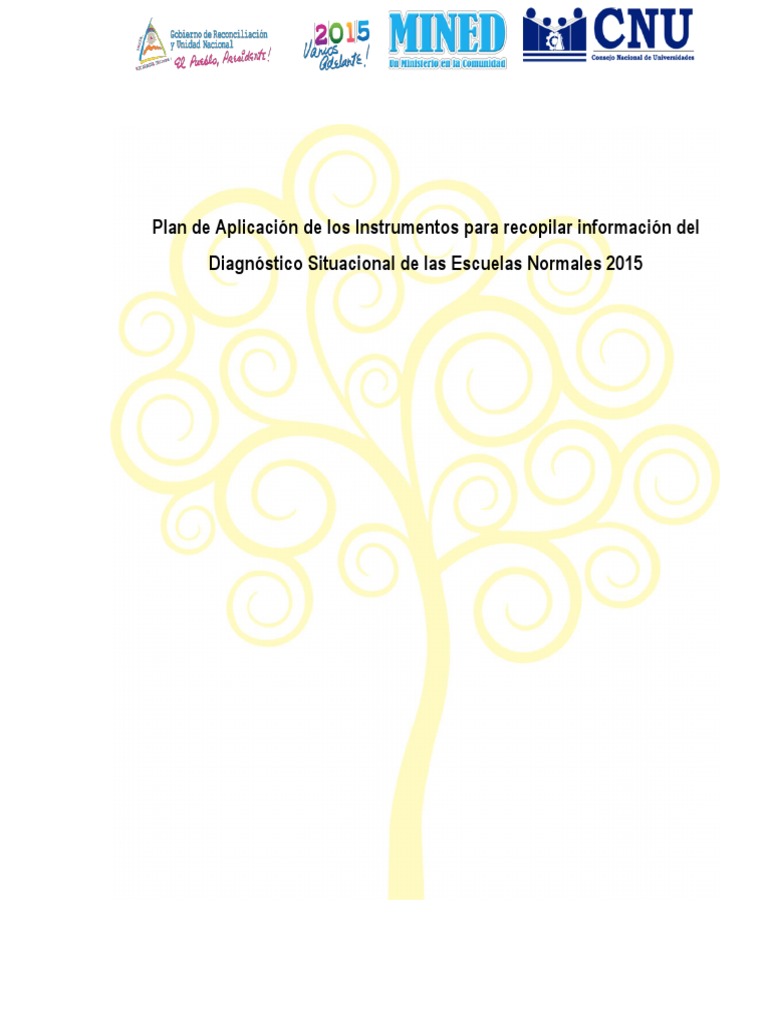 Plan de Aplicacion para El Instrumento de Diagnostico | PDF | Recursos ...