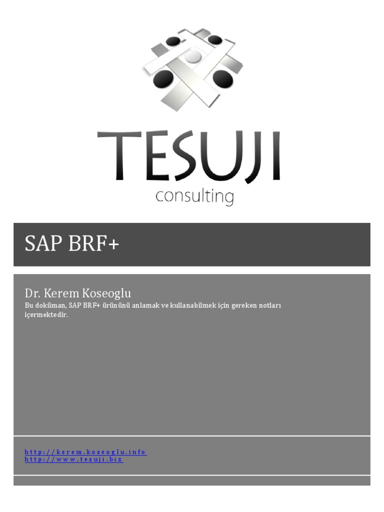 Sap BRF+: Dr. Kerem Koseoglu | PDF