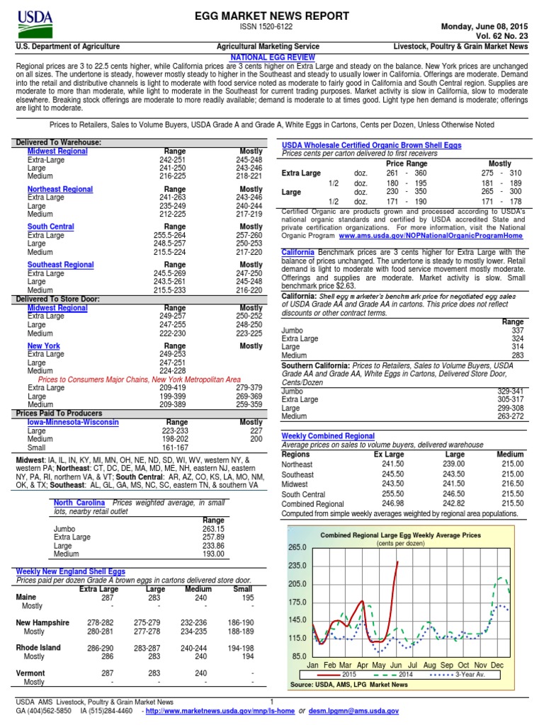 Egg News Report | PDF | Egg As Food | Retail