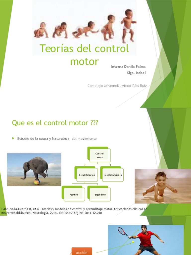 Teorías Del Control Motor | PDF