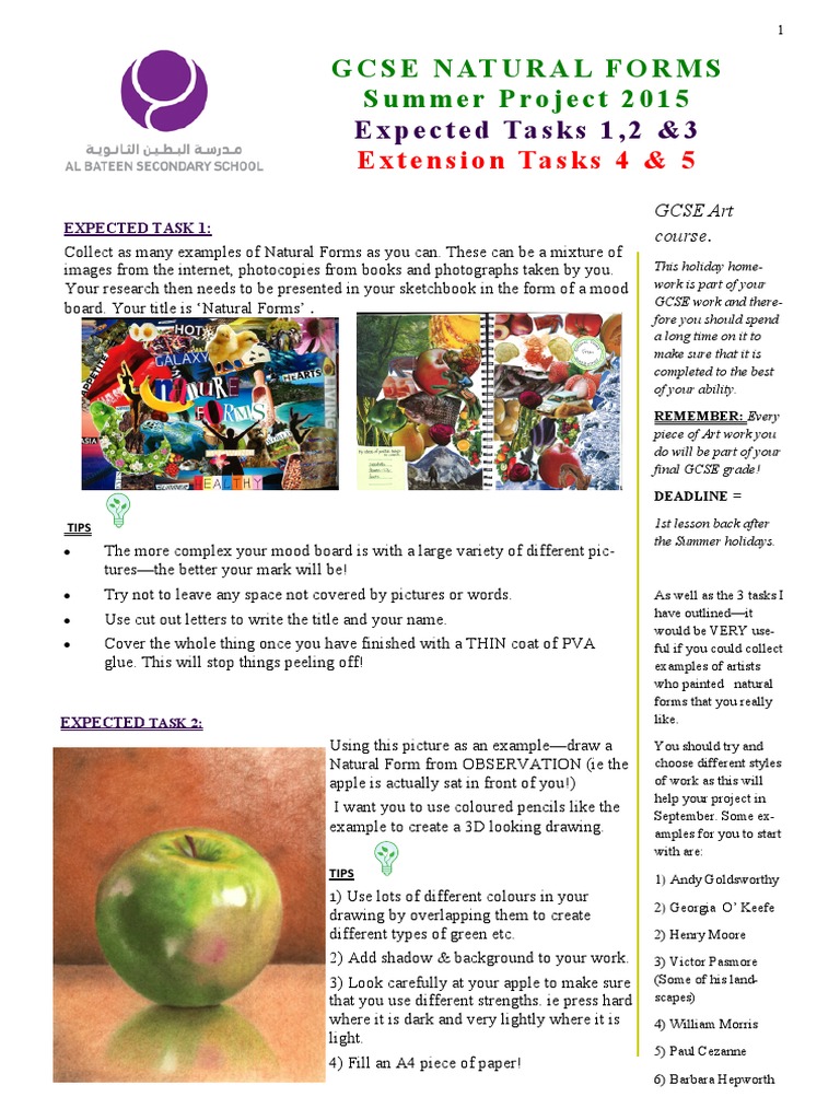 Natural Forms GCSE Art Project | PDF | Composition (Visual Arts) | Shape
