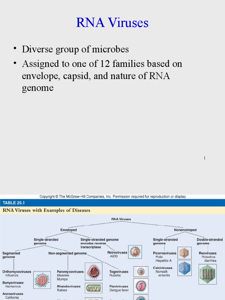 RNA Viruses | PDF | Hiv/Aids | Influenza