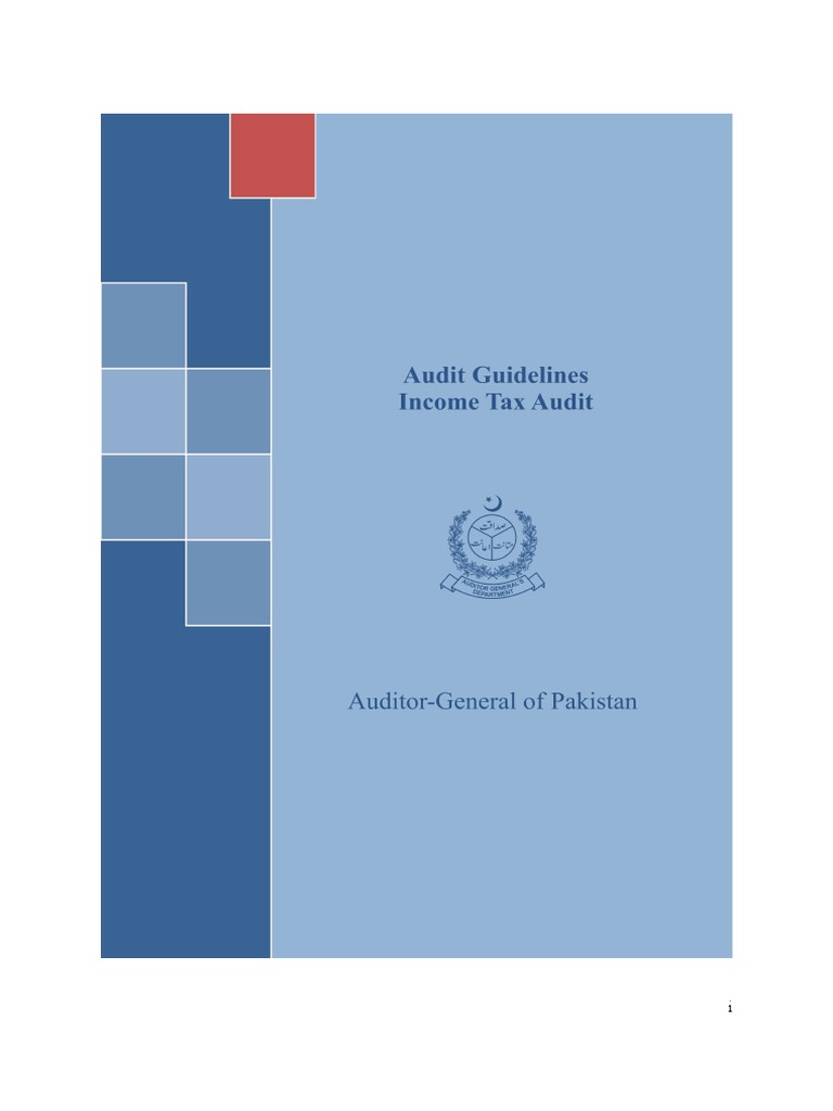 Income Tax Audit Guidelines | PDF | Financial Audit | Audit