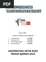 Laporan Praktikum UJI KATALASE BAKTERI | PDF