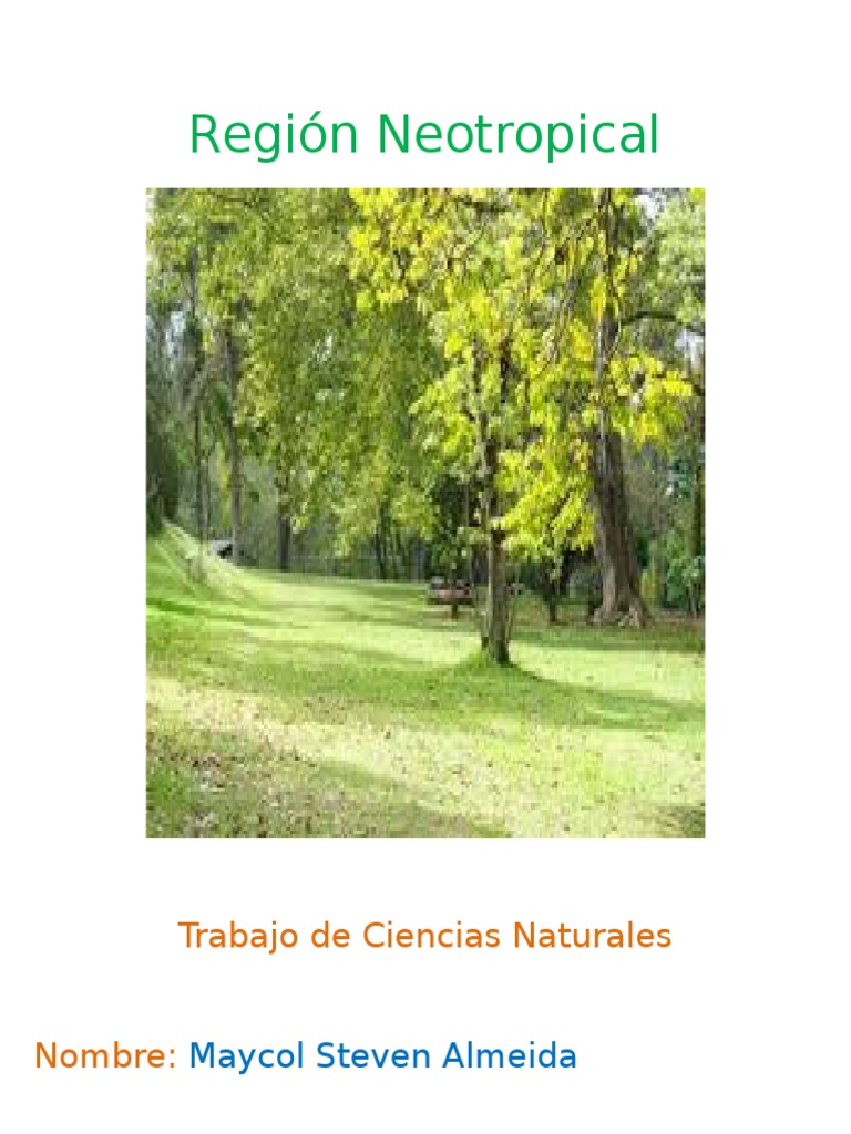 Región Neotropical: Flora y Fauna | PDF | Biodiversidad | Evolución