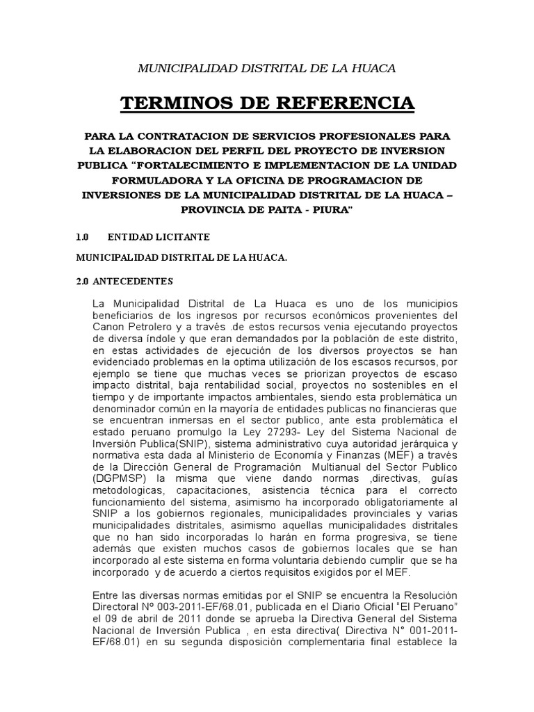 TDR Uf y Opi La Huaca | PDF | Oferta (economía) | Planificación urbana