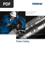 Halliburton Packer Information PDF | PDF | Casing (Borehole) | Chemical ...