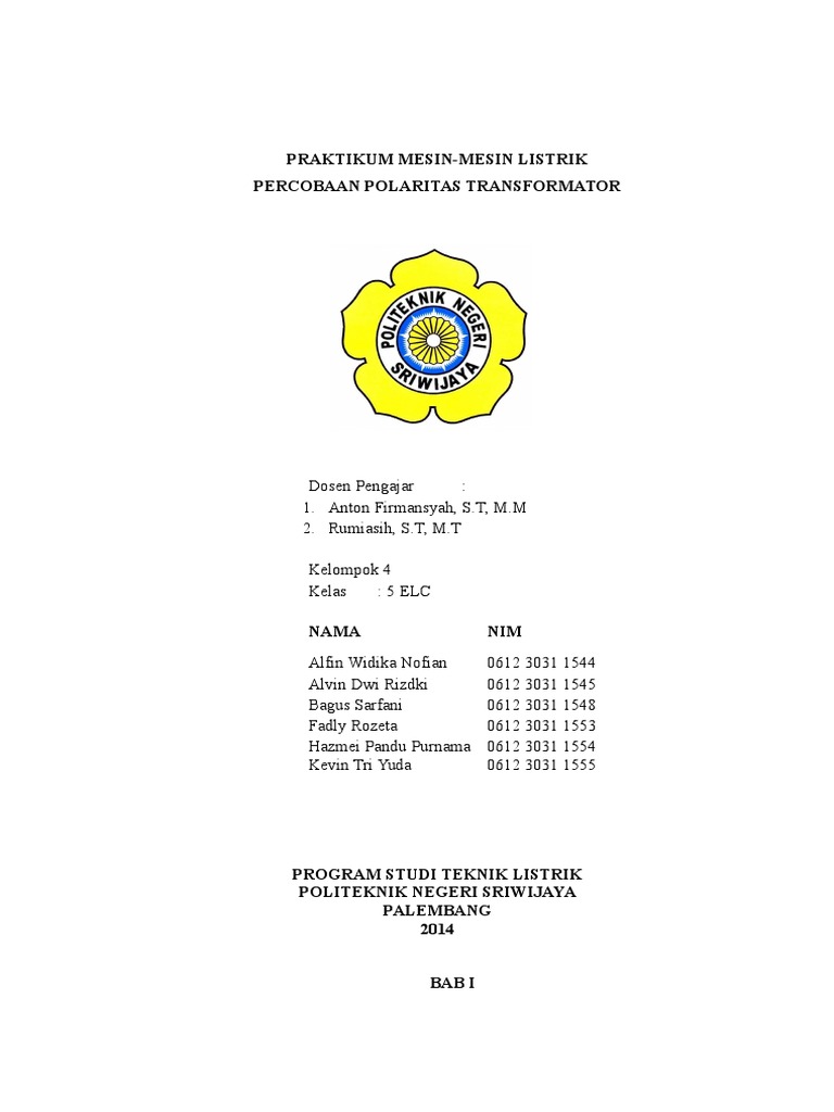 Polaritas | PDF