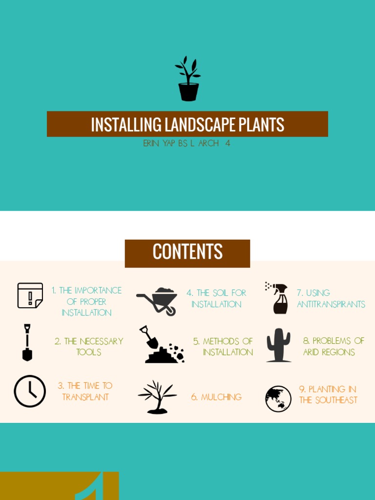 Transplanting Techniques for Plants | PDF | Mulch | Luzon