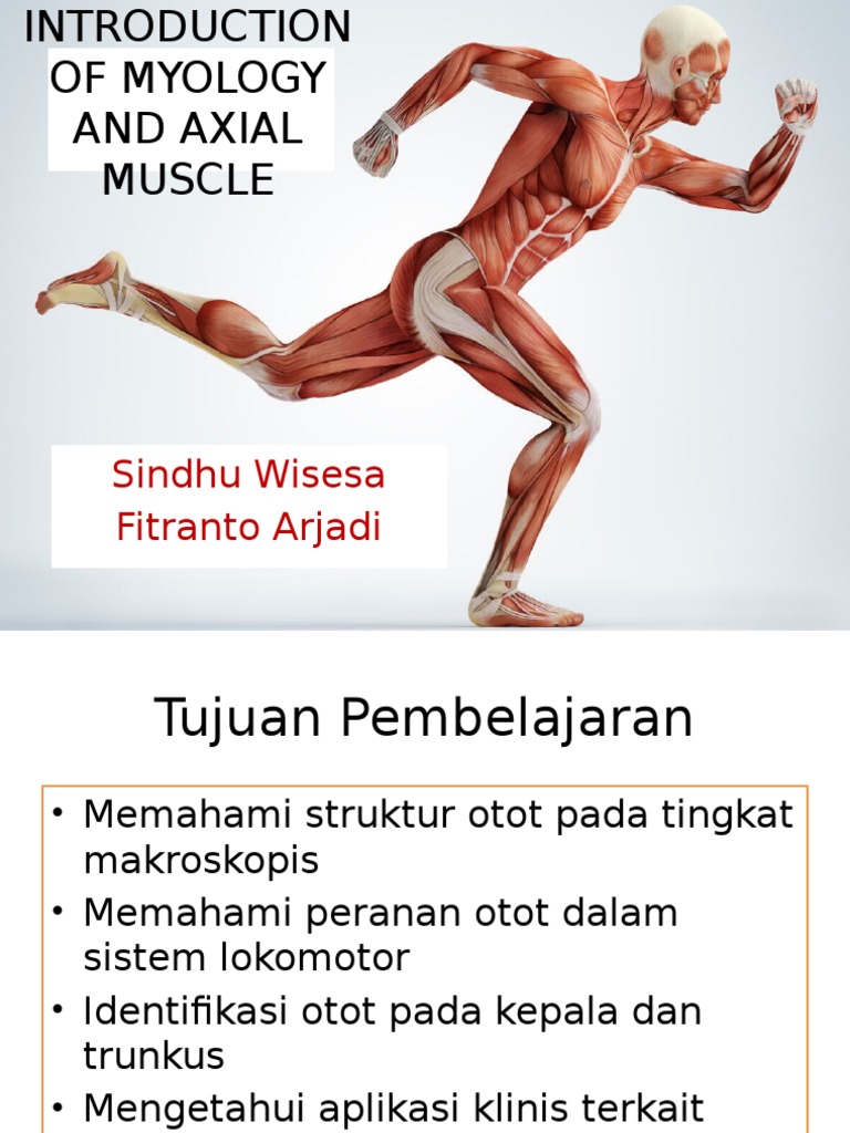 Introduction of Musculoskeletal and Axial Muscle | PDF | Brainstem ...