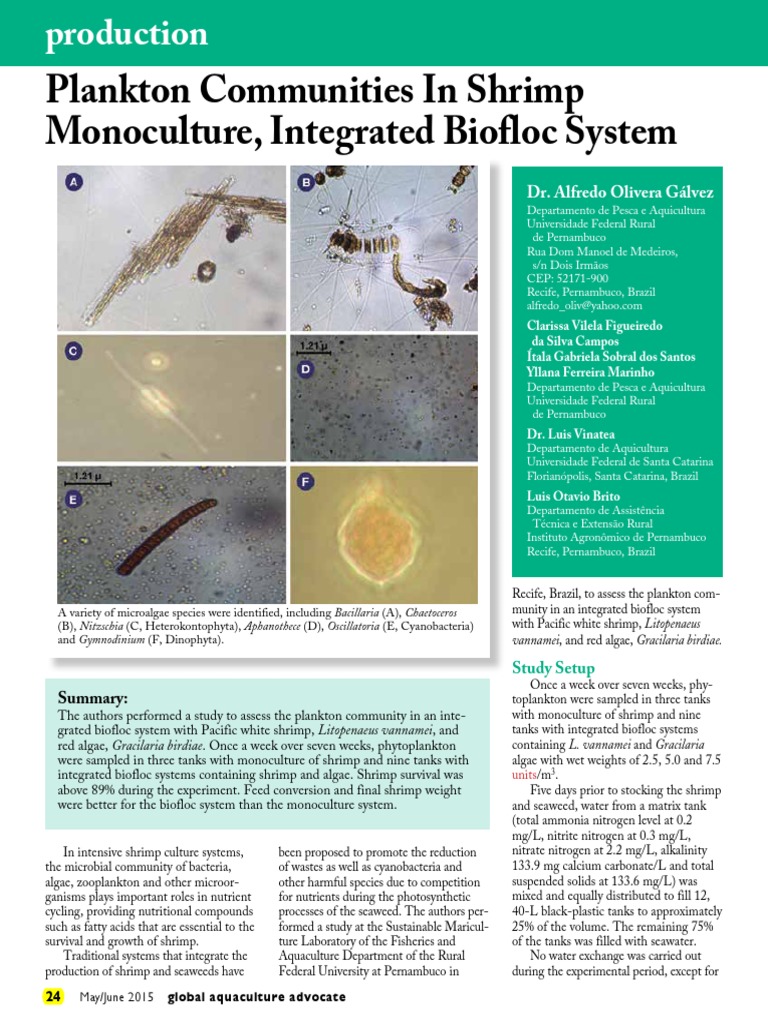 Plankton Communities in Shrimp | PDF | Plankton | Phytoplankton
