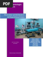 Manual Práctico de Instrumental Quirurgico | PDF | Cirugía | Cirujano